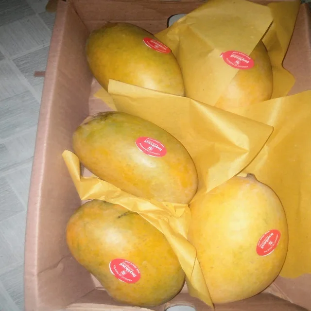Fresh Pakistani Mango With Approved Eu Quality Standards Pakistani ...