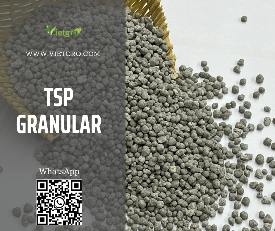 Vietgro Triple Super Phosphate - Efficient Agriculture Fertilizer