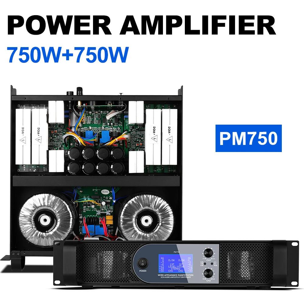 Biner LS10 High Quality Dual 10 Inch Power 750W+750W Professional Line ...