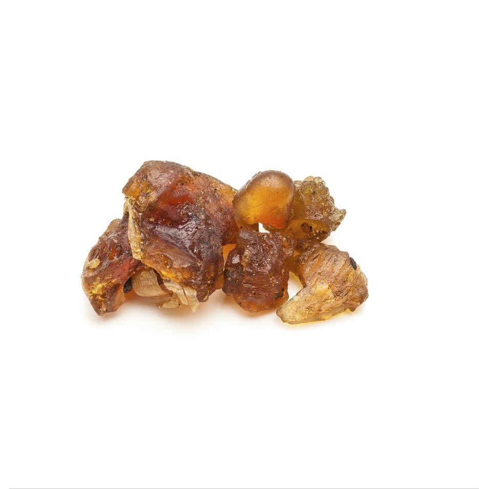 Commiphora Mukul (Guggul) Resin Extract | Guggul Extract Powder ...
