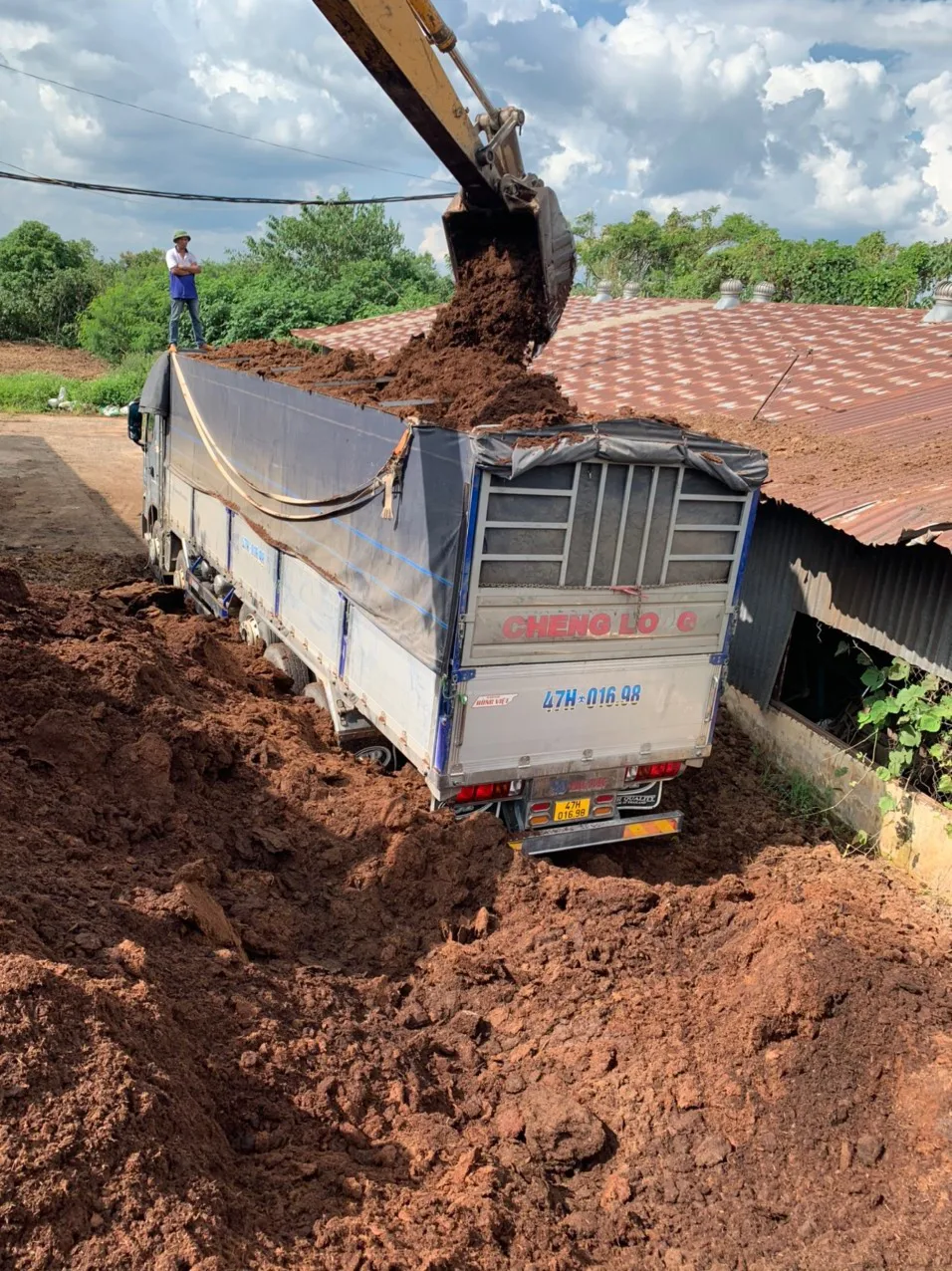 SUGARCANE BAGASSE PELLETS - Sustainable Animal Feed