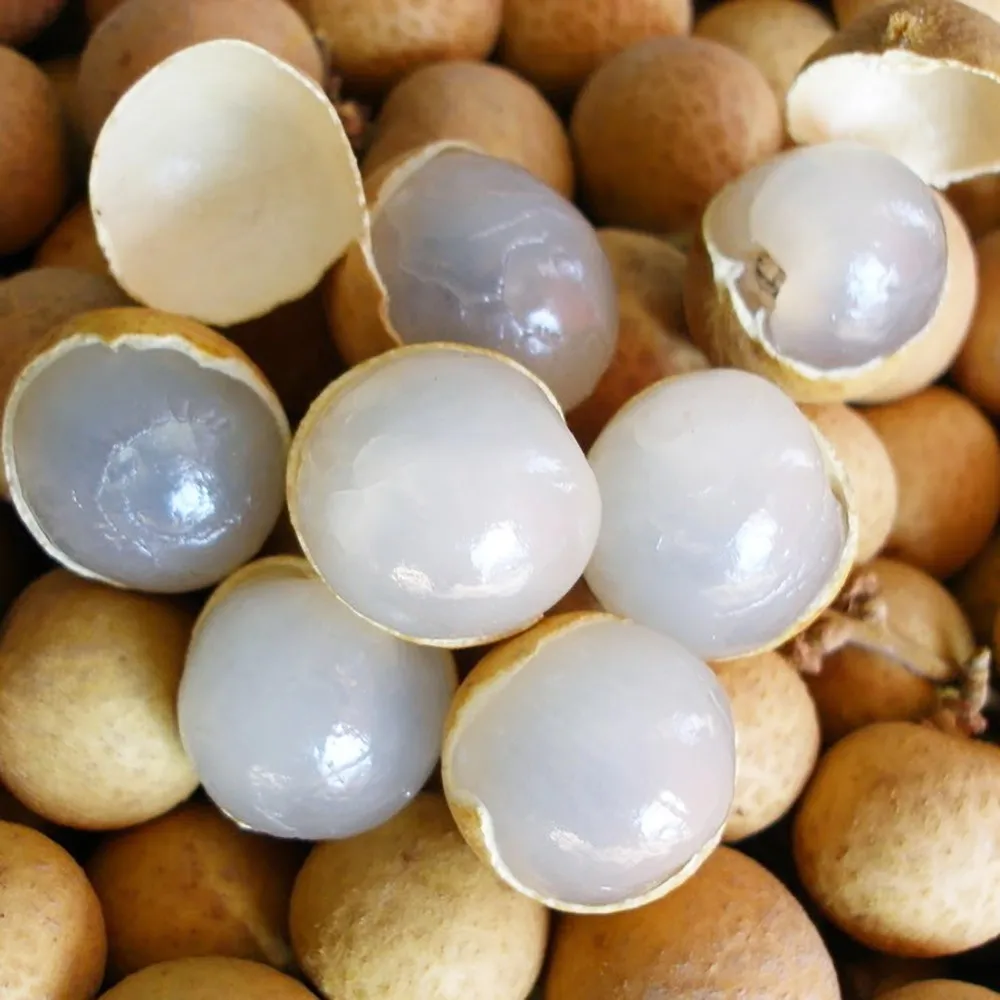 Vietnamese Longan - Fresh and Frozen Whole Peeled Fruit