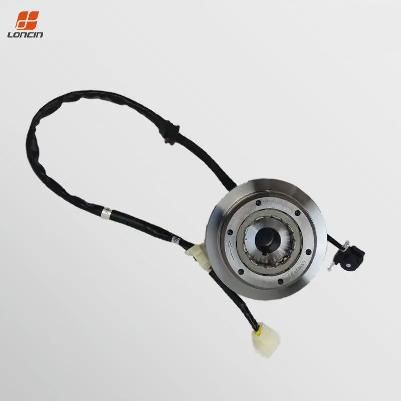 LONCIN FE 250 300 Original Parts Magneto Component Engine Silver Black ...