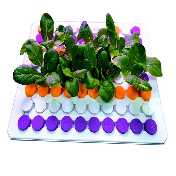 ABS Plastic Cloning Tray with Dome - Hydroponic Cloner