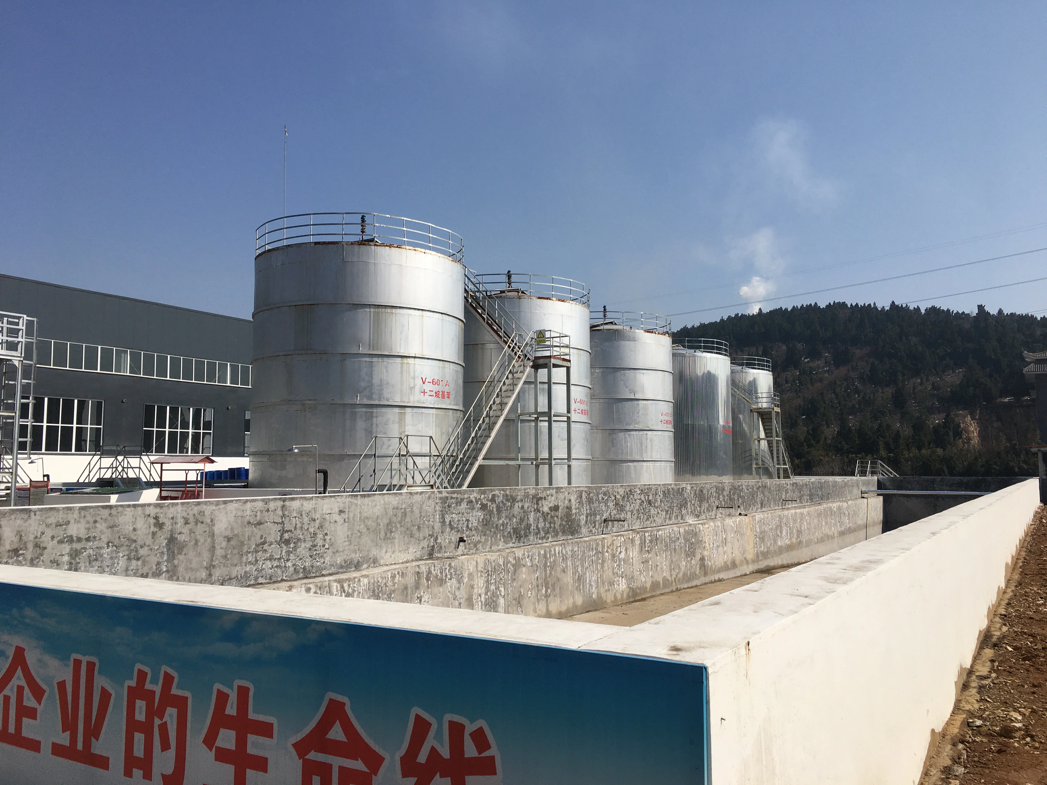 Linear-alkyl Benzene Sulphonic Acid (labsa 96%) for Detergent Powder