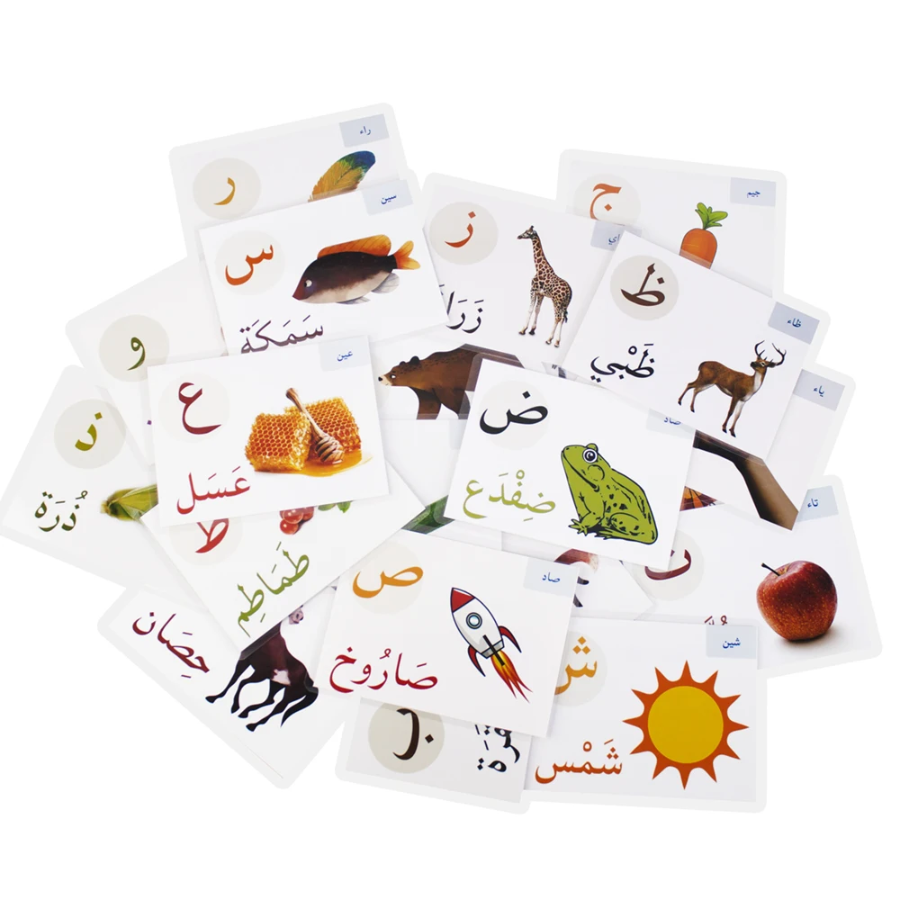 28Pcs Arabic Letter Flashcards Vocabulary Montessori Kids Cards ...