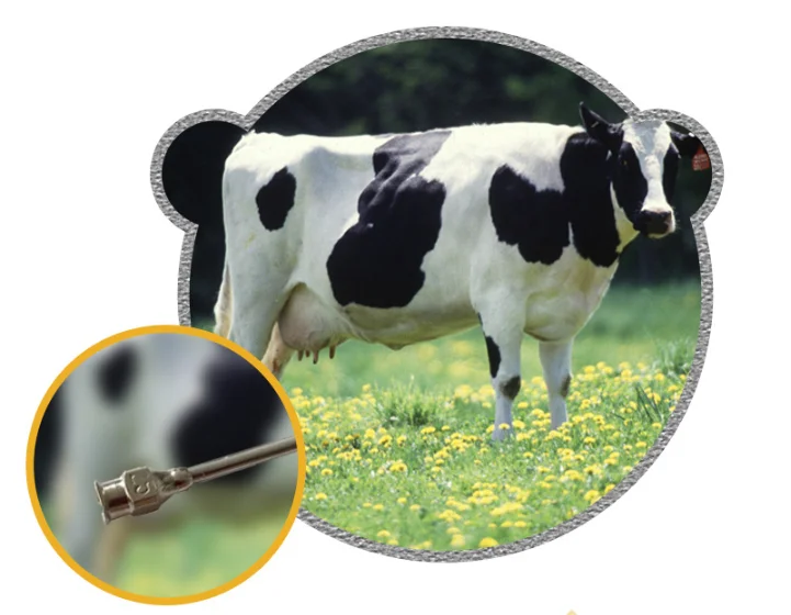 20*80 Veterinary Stainless Steel Medical Dairy Cattle Milk Passing ...