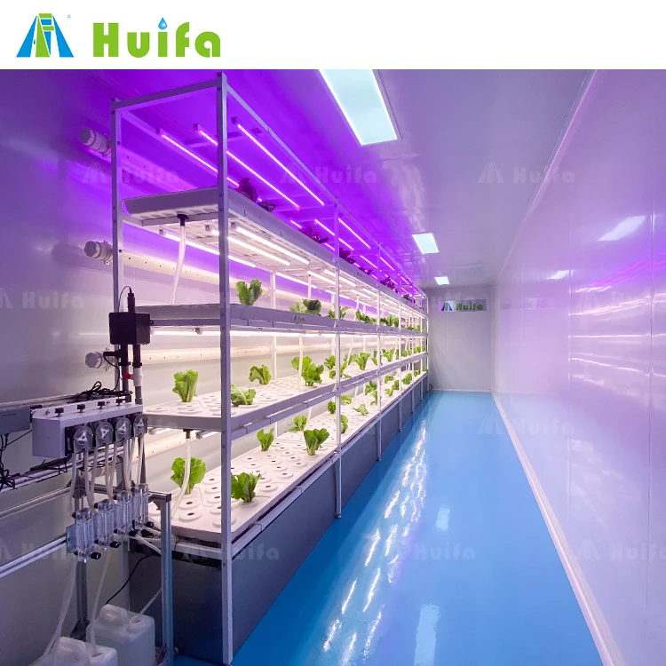 Vertical Farming Container - Hydroponic Greenhouse