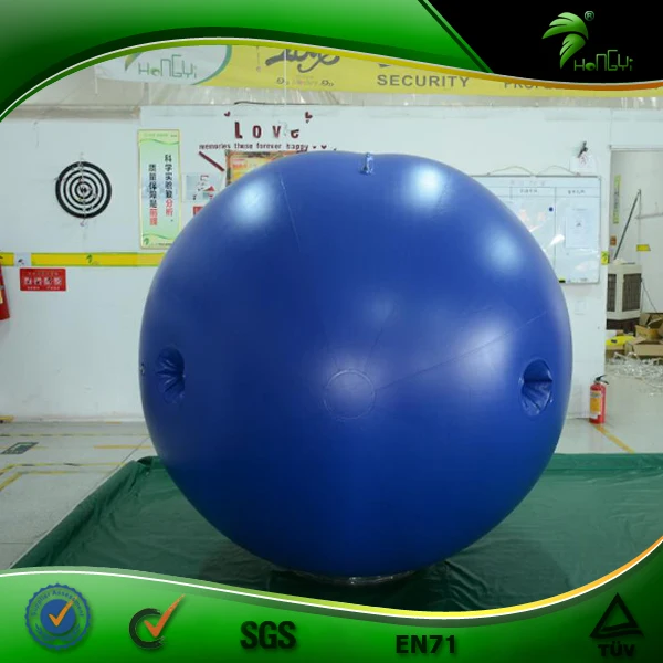 Hongyi Inflatable Blueberry Costume - Body Inflation Suit