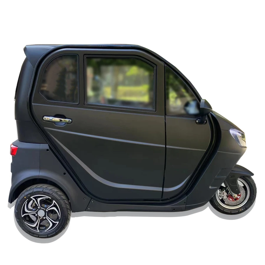 Family Smart Fully Enclosed Electric Tricycles for Adults