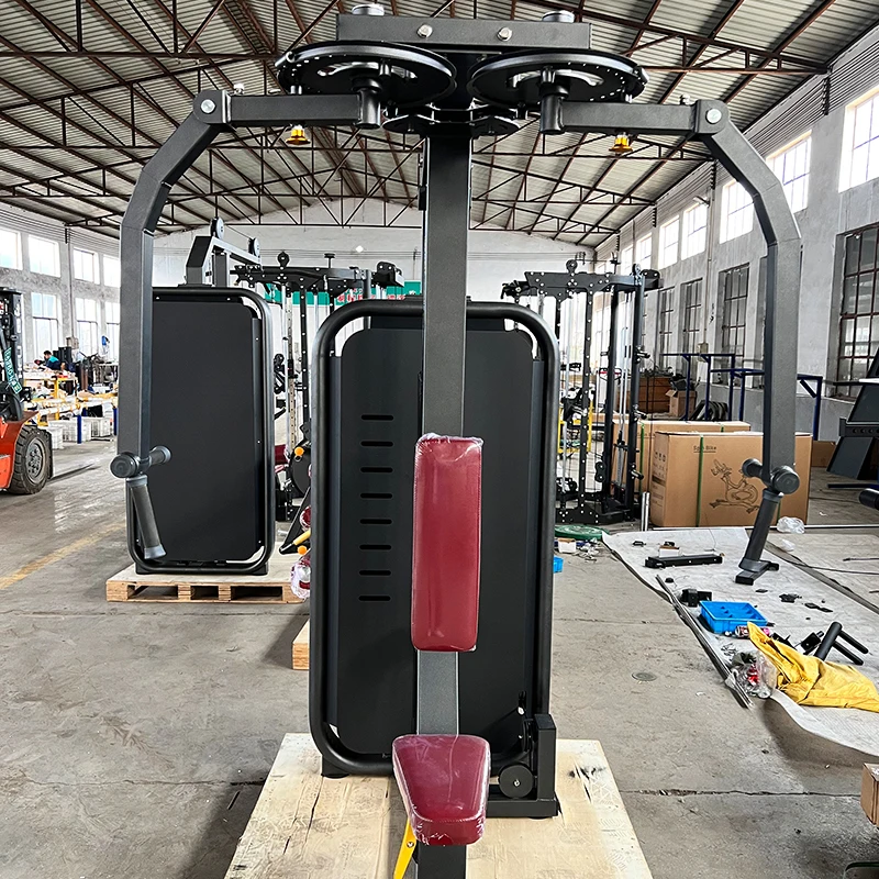 New Products Are Coming In 2024 Lzx-h1007 Rear Delt/pec Fly Exercise ...