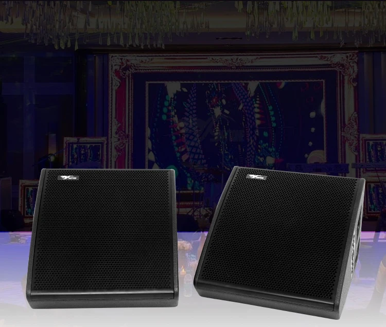 C15 Stage Professional Speaker - 15 Inch Coaxial Monitor
