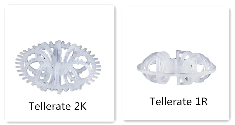 PP Tellerete Packing Rings - Durable and Versatile Solutions
