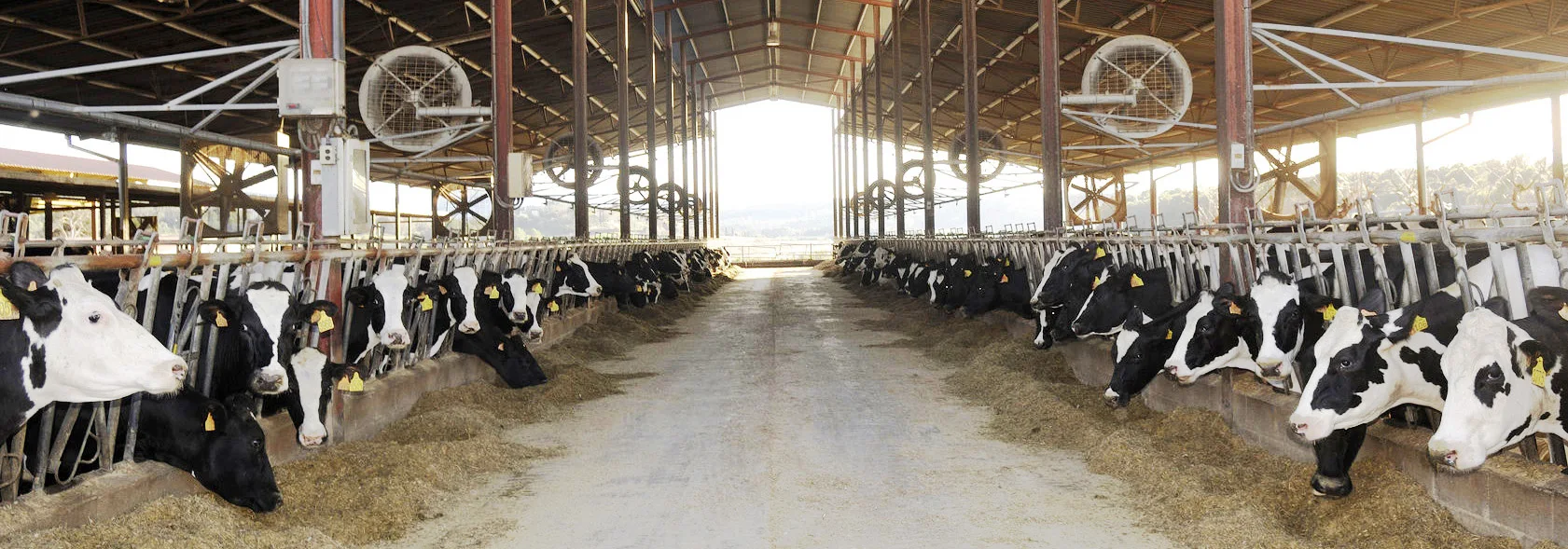 Farming in Pakistan: Durable Steel Cattle Farm House