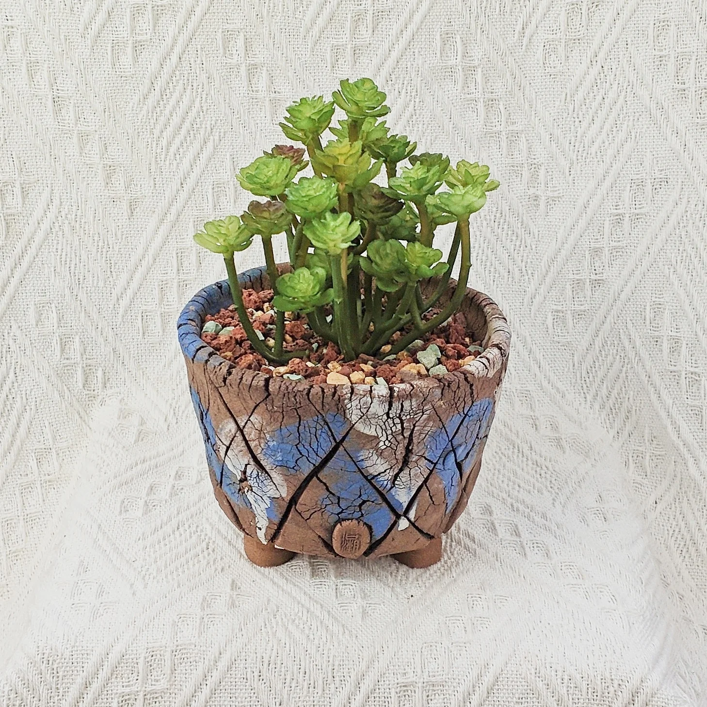 China Professional Manufacture Penjing Plant Ceramic Pot Flowerpot ...