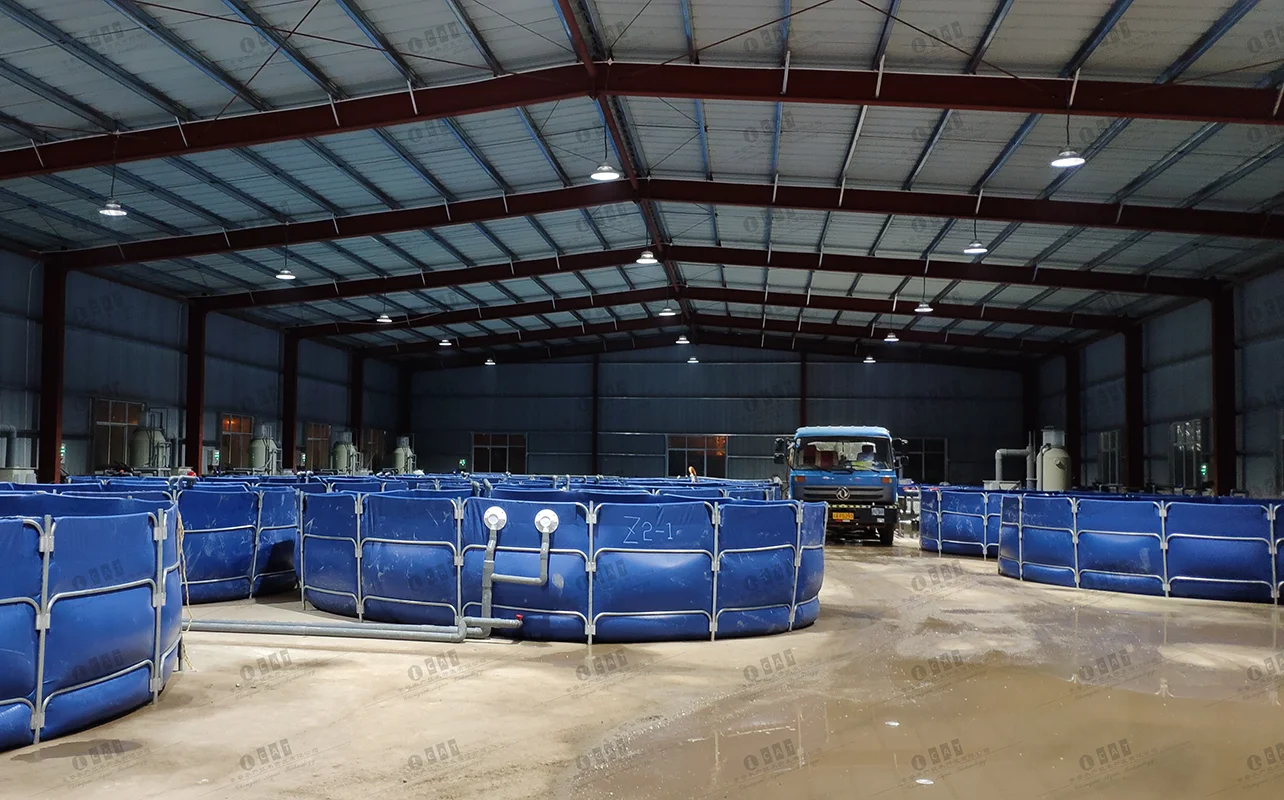 Indoor Fish Farm Fish Farming Equipment Aquaculture System Ras Fish ...