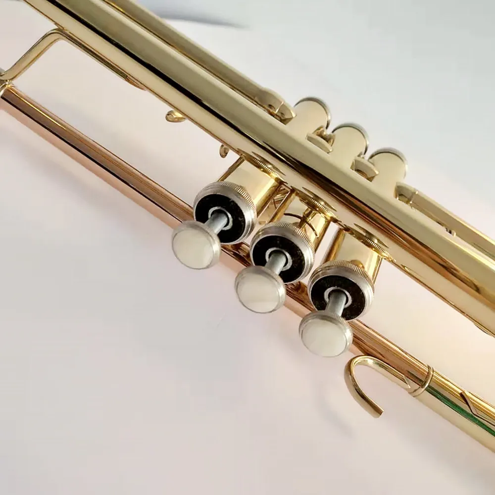 Beginner's Trumpet - Professional Bb Instrument for All Ages