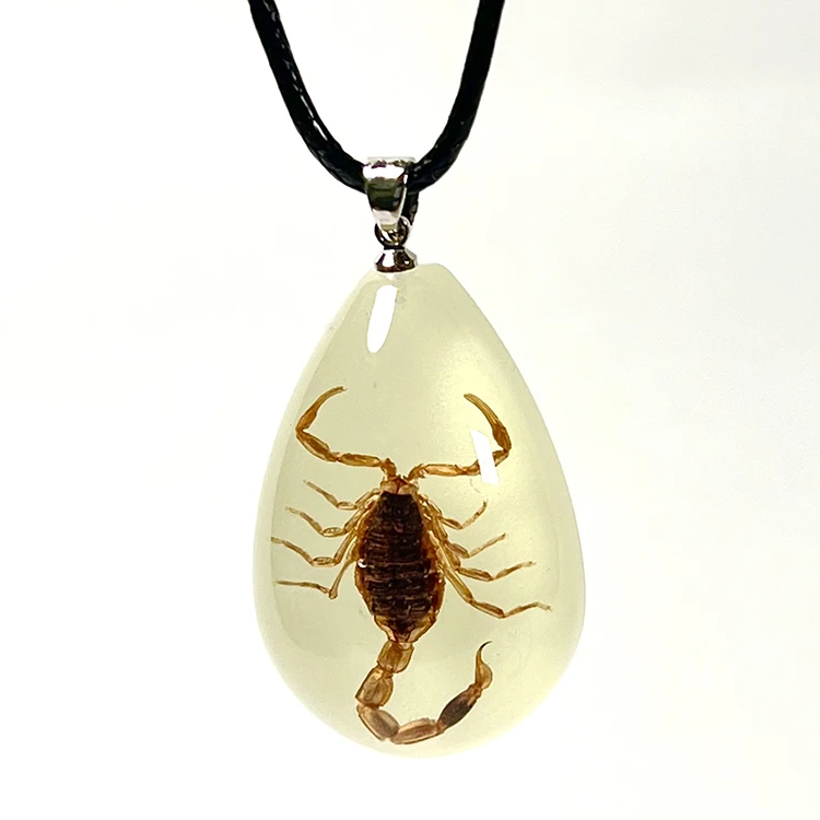 Custom Glow Real Insects Resin Pendant Necklace Insect Specimen ...