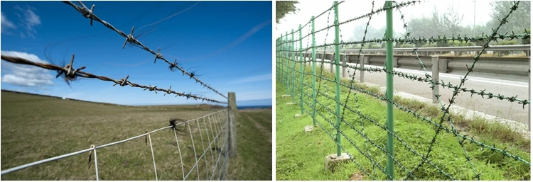 Wholesale Double Twisted Galvanized Barbed Wire Coil Iron Steel ...