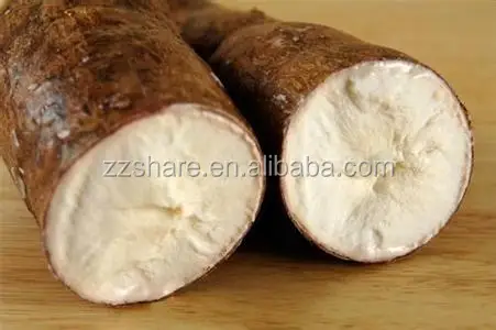 Modified Yam Starch Production Line Cassava Potato Starch Making ...