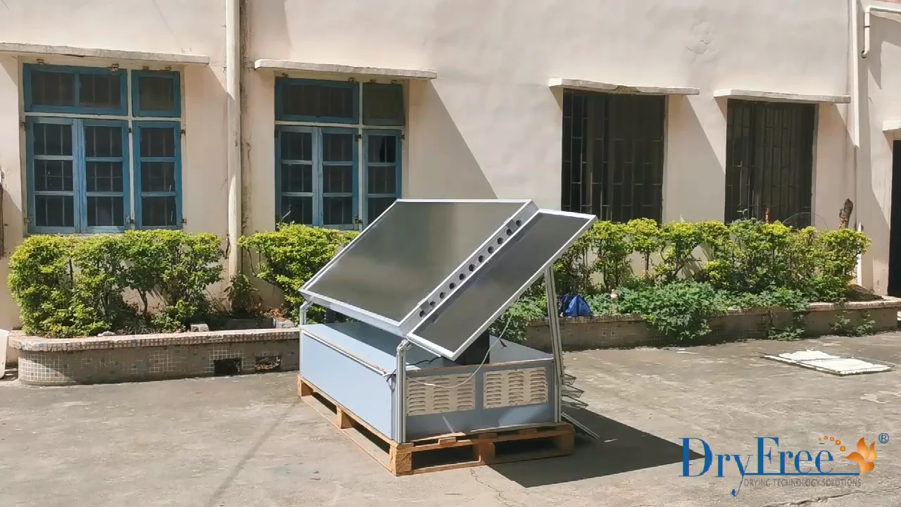 Energy Save 80% Home Fruit Dryer Or Mango Solar Drying Machine For Food ...