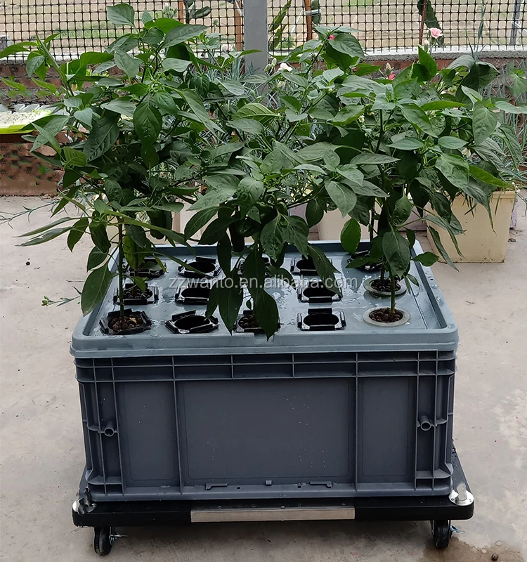 Low Cost Aeroponics System for Efficient Plant Growth