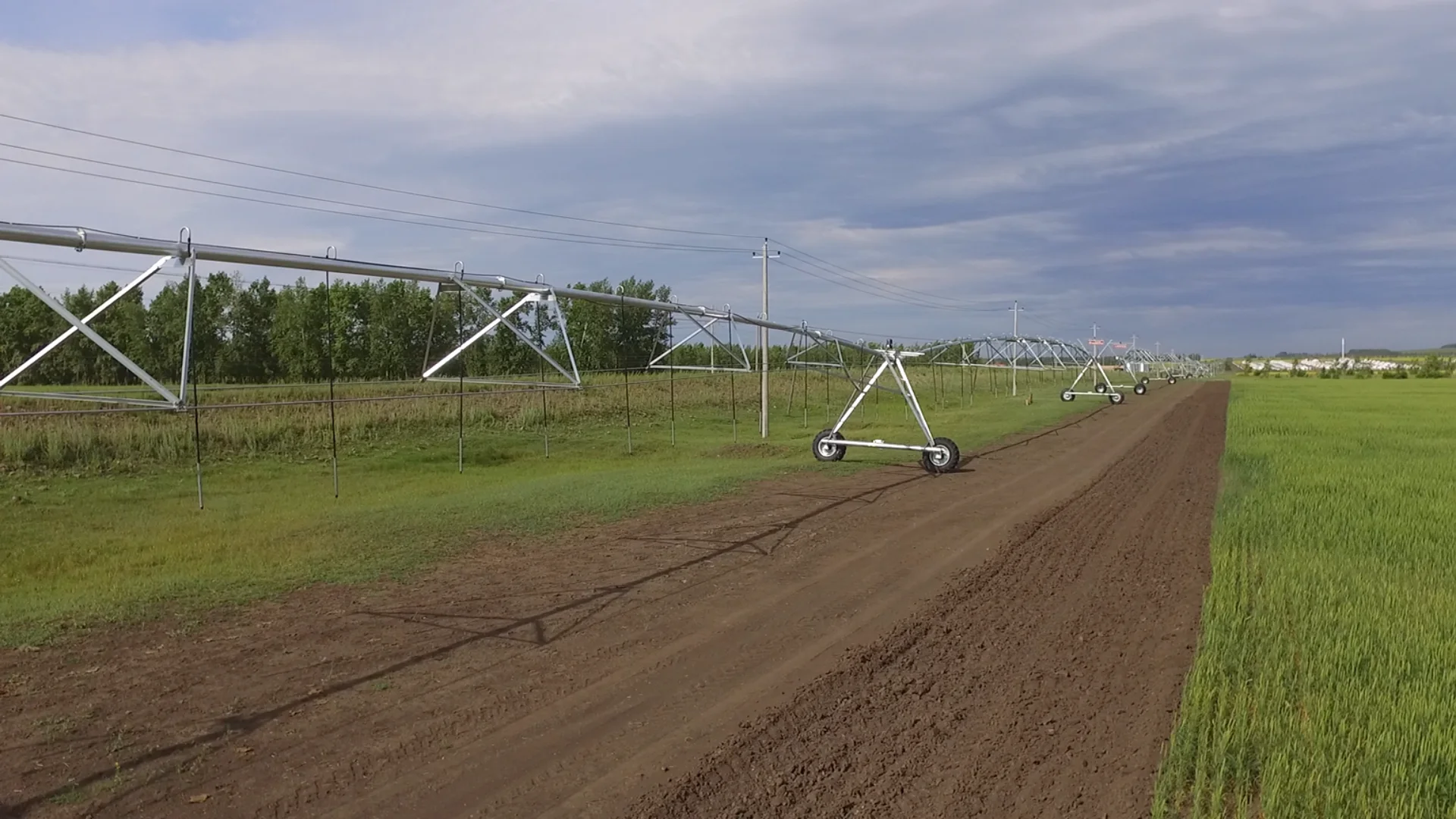 Linear Move Irrigation Sprinkler System: Lateral Move Equipment