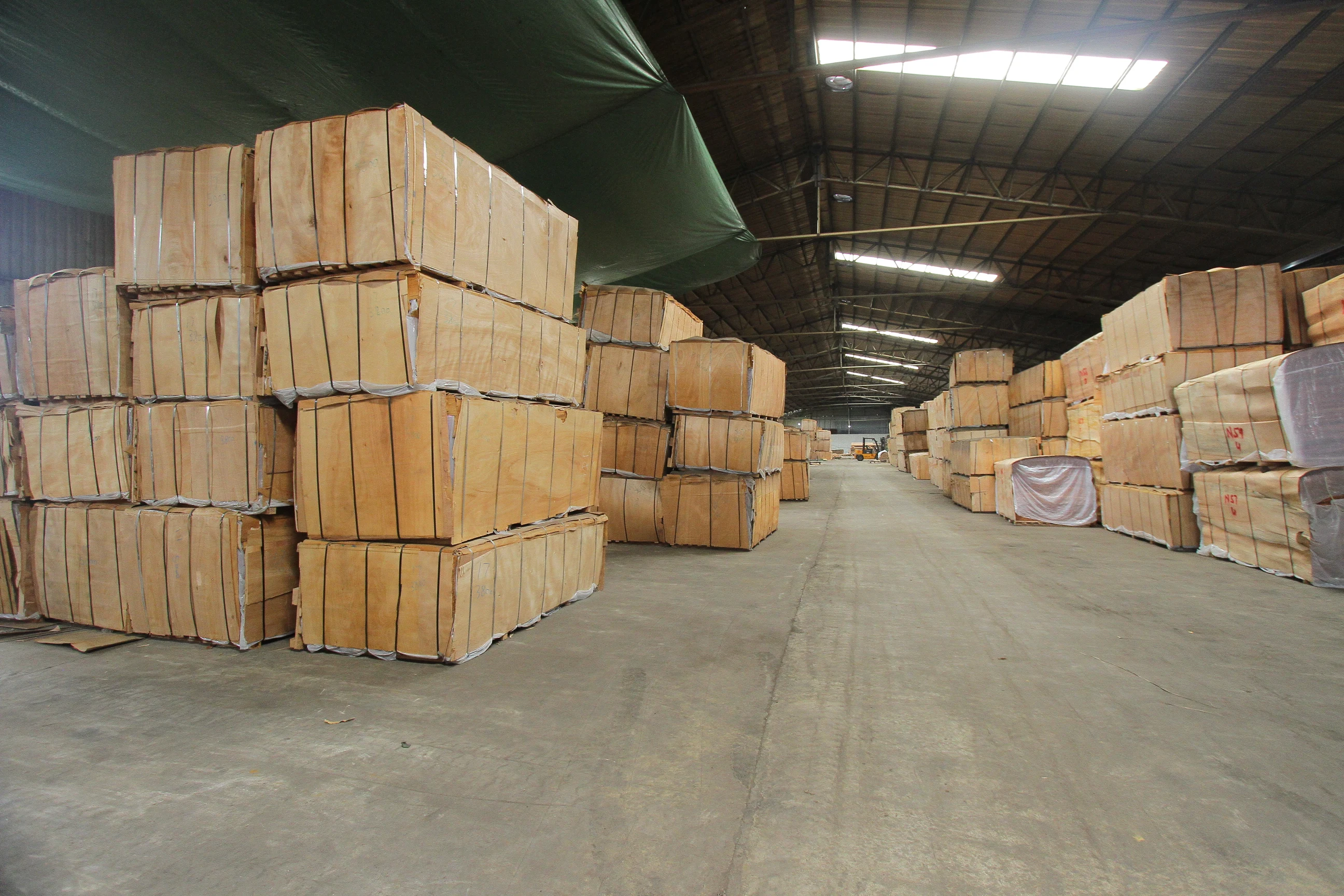 Veneer Okoume Wood Gabon - Natural, Modern, and Durable