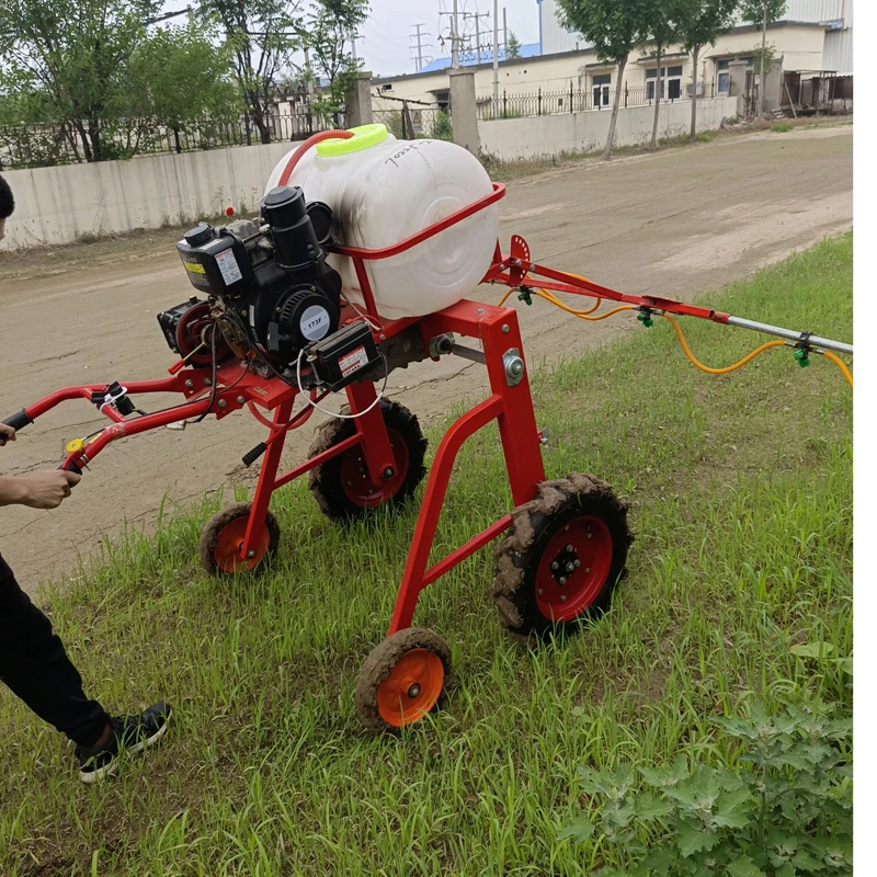 Agricultural Farm Hand Push Gasoline/Diesel Engine Pesticide Sprayer ...