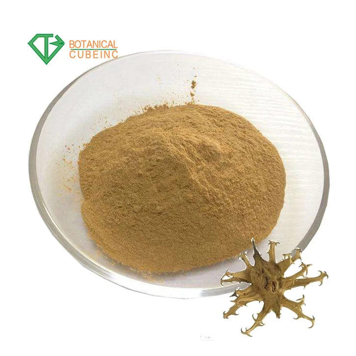 Pure Harpagophytum Procumbens Harpagoside 2% Extract Powder