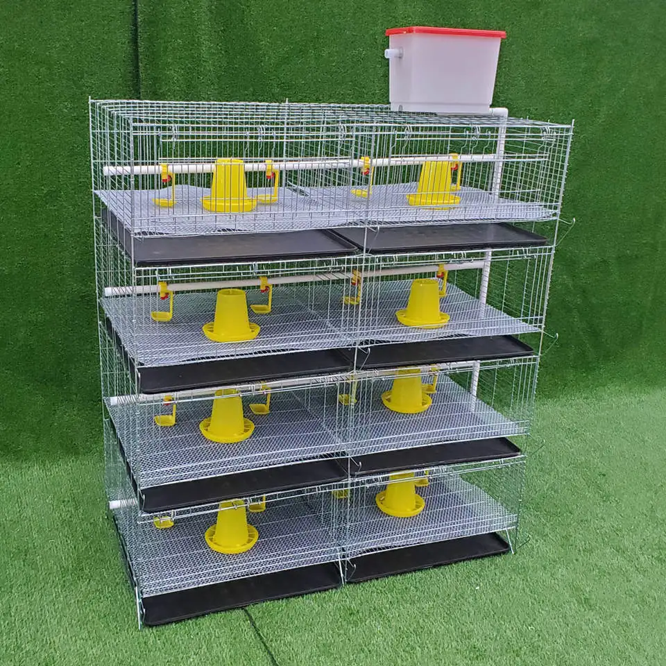 Automatic Brooding Pigeon Poultry Watering Devices Chicken Drip Water ...
