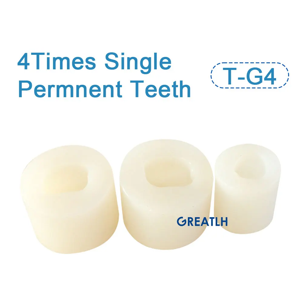 Dental Caries Typodont Teeth Model Orthodontic Model Permanent Dental ...