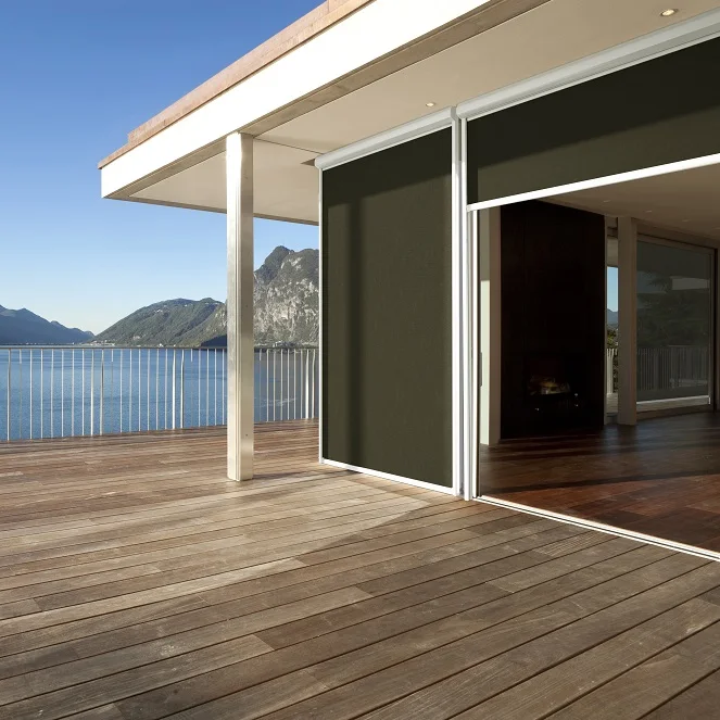 Motorized Roll Up Insect Screen Window And Door With Motor - Buy ...