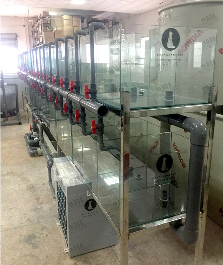 Recirculating Aquaculture System (RAS) Fish Tank for Lab Room