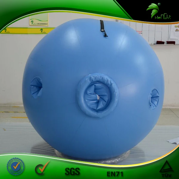 Inflatable Blueberry Suit - Fun and Creativity Redefined