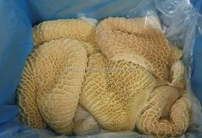 Efficient Tripe Processing with Sheep Tripe Cleaning Machine