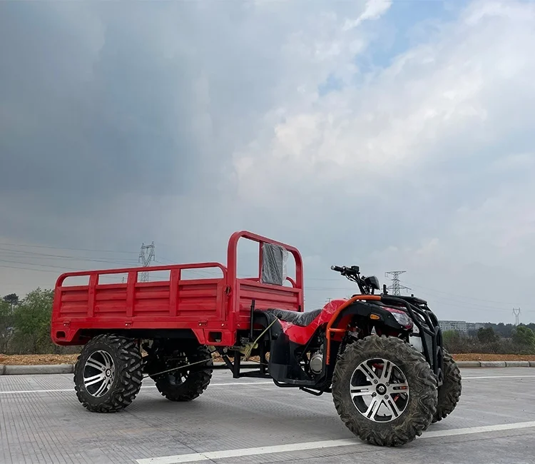 Quad 4 Wheelers 4X4 Truck for Adults - 250cc 300cc Farm Atvs