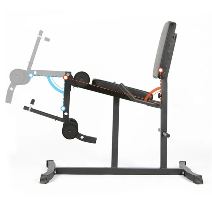 Wellshow Sport Extension Bench Multi Functional Ab Bench Leg Strength ...