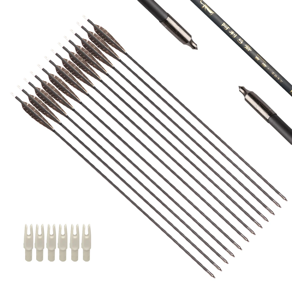 Alibow 100% Pure Carbon Arrows - Precision and Durability