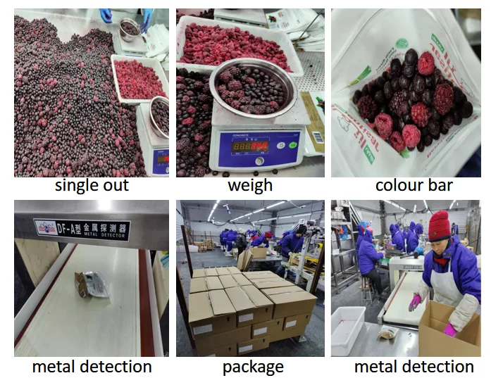 Factory Price Frozen Mixed Berries Iqf Fruit In Bulk China Supply - Buy ...