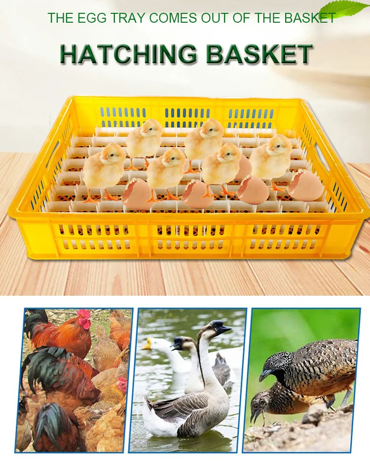88 Eggs Yellow Hatching Baskets Incubator Spare Parts Tray Hatching ...