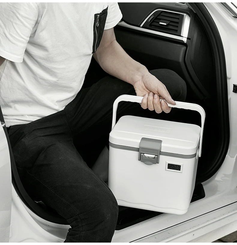 4.5L Mini Ice Cooler - Perfect for Outdoor Camping & Picnic