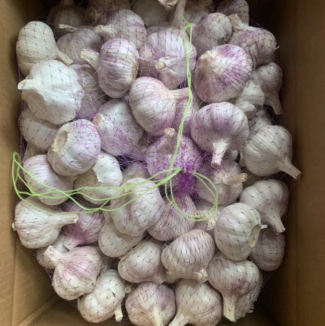 Fresh Garlic 10kg Carton Packed New Season Red Garlic Export| Alibaba.com