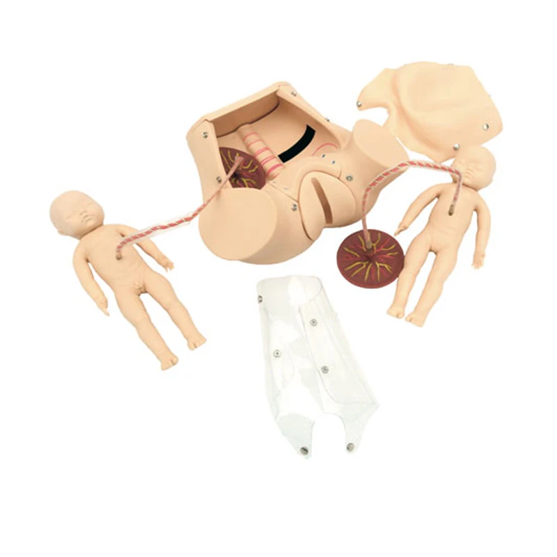 Medical Obstetrics Teaching Model - Advanced Childbirth Training