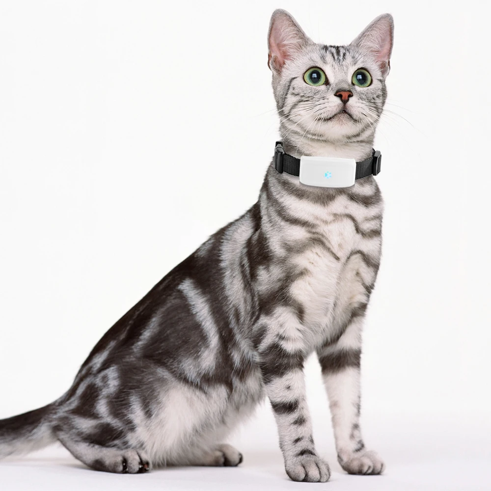 Smallest Cat Tracker - GPS Pet Tracker with Long Battery Life