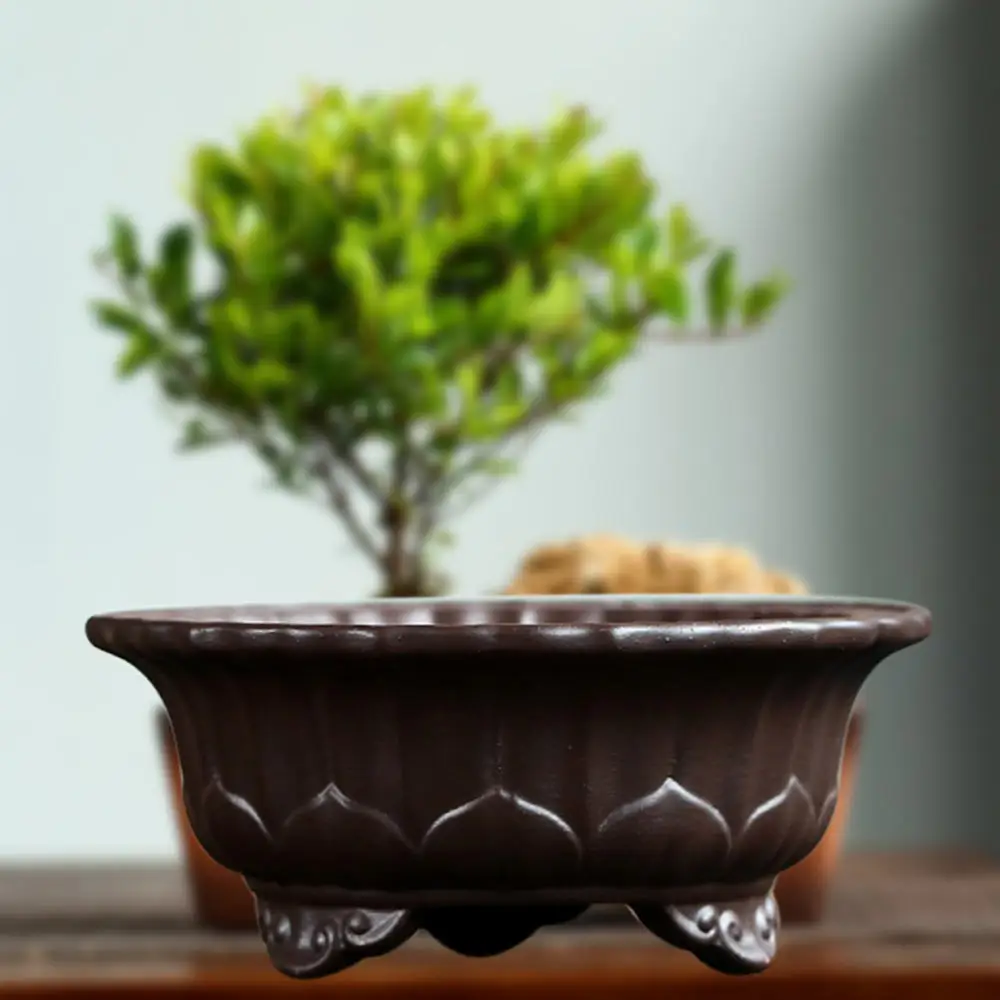 Traditional Ceramic Bonsai Pot - Vintage Yixing Style