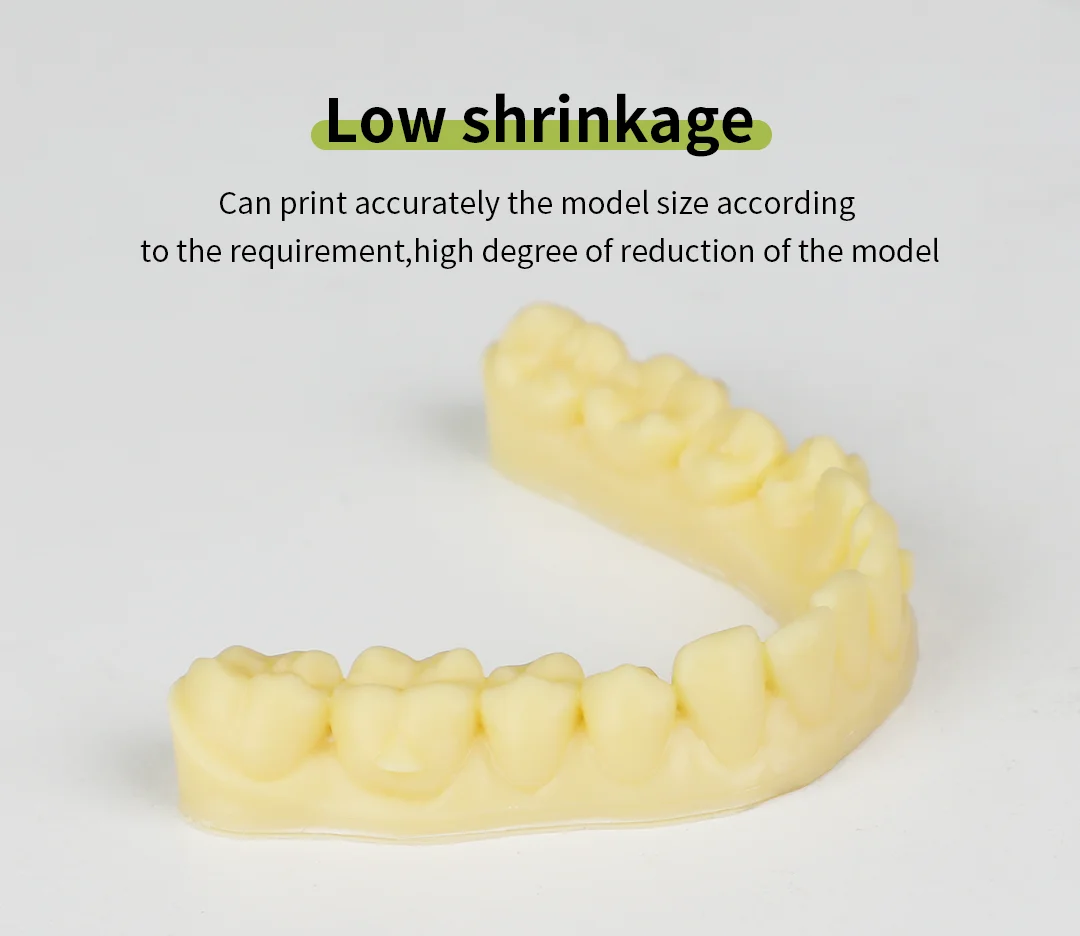 Creality Pionext Ortho Model 2.0 Resin - Dental Applications