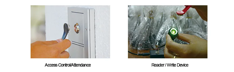 Tmr-iron-plh Ds9092 Tm Rw Card Ibutton Probe Reader For Access Control ...