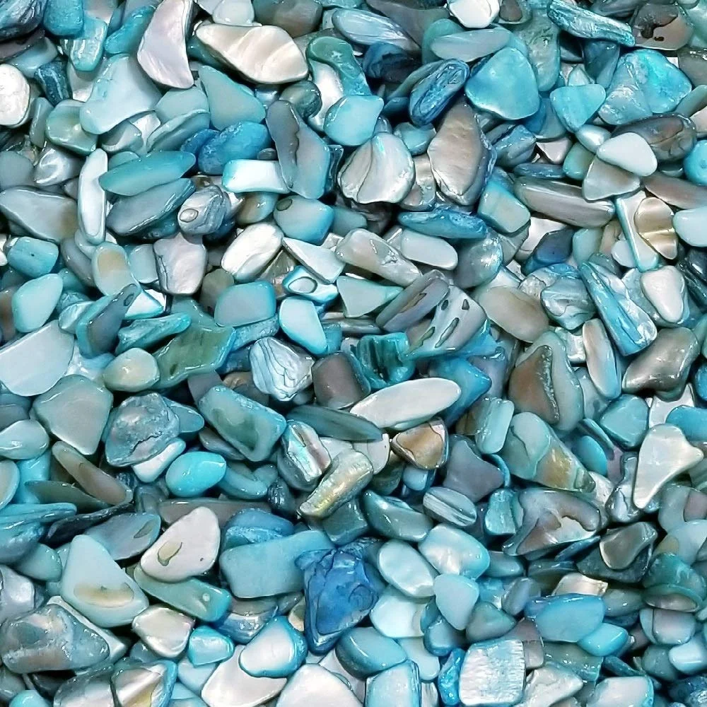 Colorful Shell Chips Diy For Natural Shell Crafts - Buy Colorful Shell ...