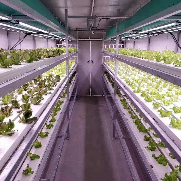 Hydroponic Nft System Vertical Grow Channel For Farm - Buy Hydroponic ...